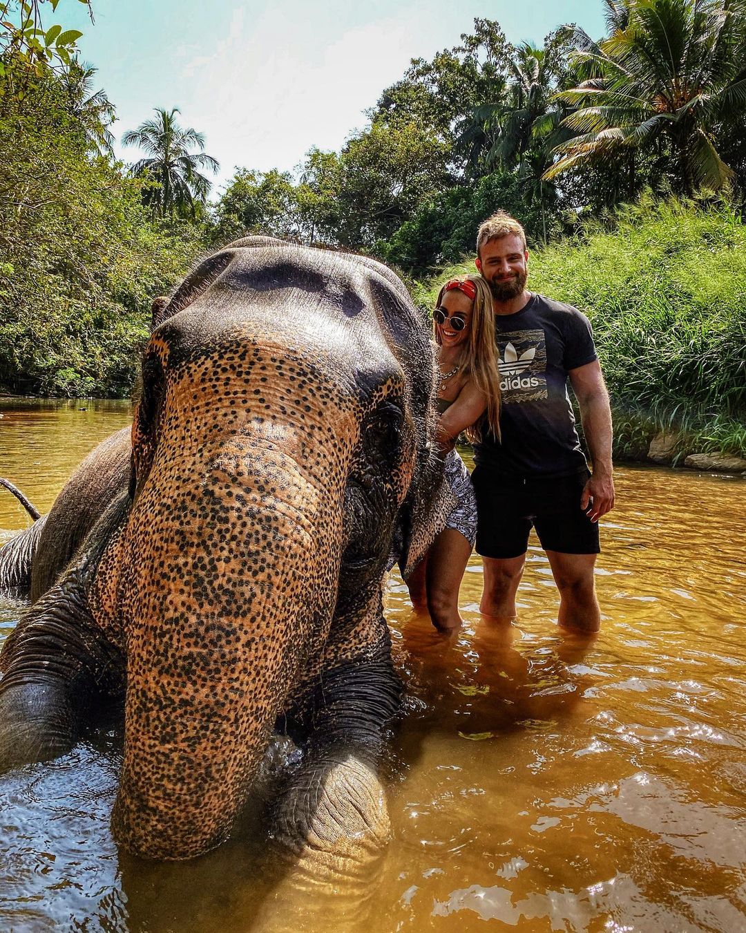 Elephant Freedom Project - Elephant Orphanage Sri Lanka