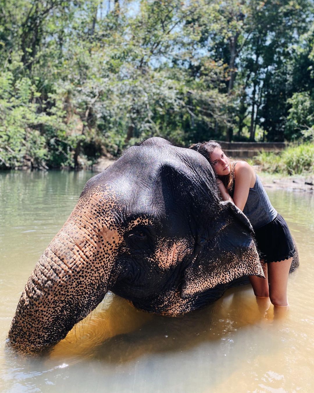 Elephant Freedom Project - Elephant Orphanage Sri Lanka